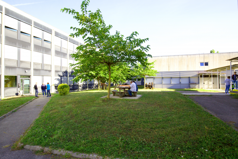 Guide pratique de l’étudiant - Iut de Mulhouse